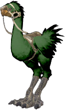 Racing Sanctuary | Eorzea Collection